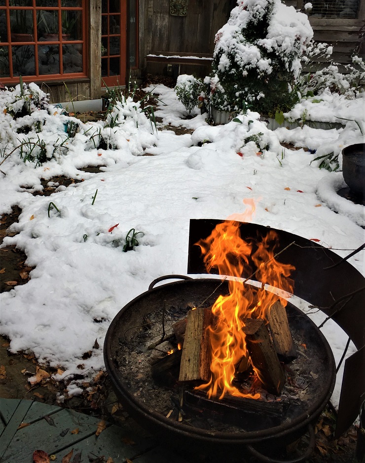 Winter Wonders – Felder Rushing's Blog