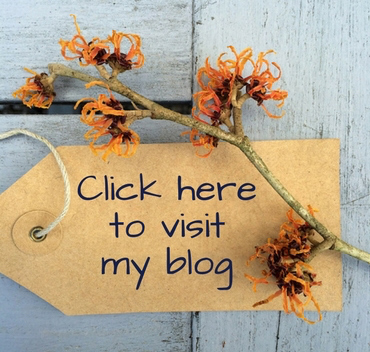 Felder Rushing's Blog – Gardening wisdom and whimsy