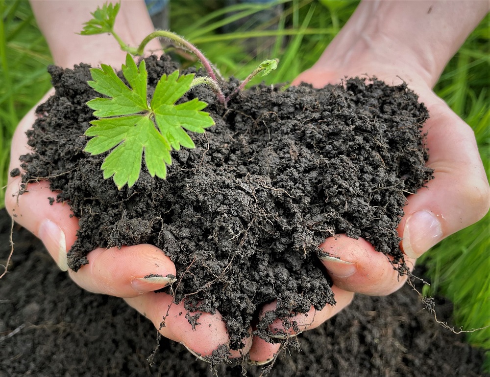 Dirt in My Veins – Felder Rushing's Blog