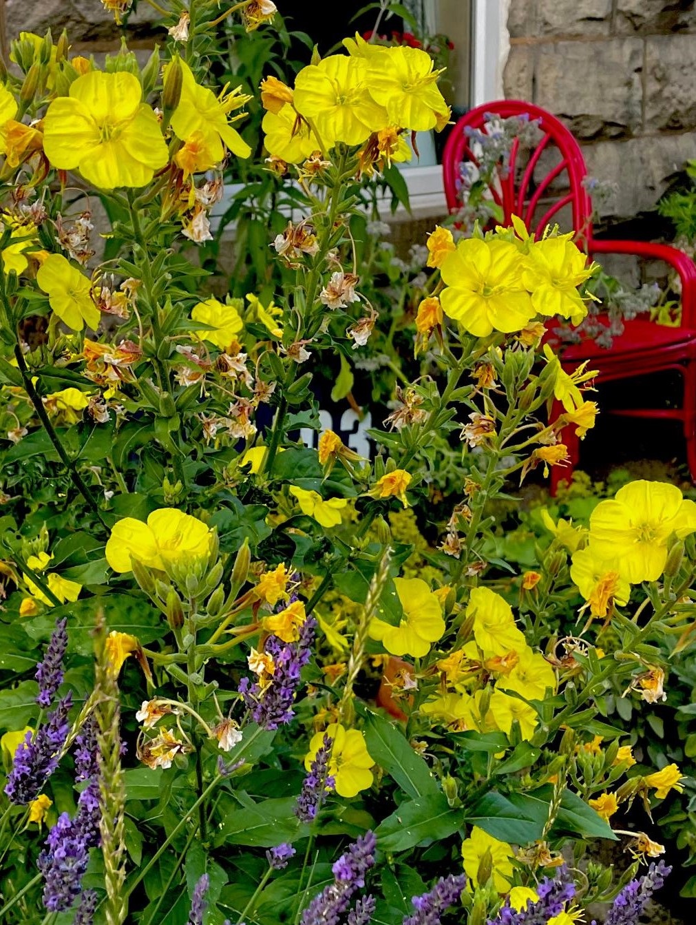 The Dance of Night Flowers – Felder Rushing's Blog