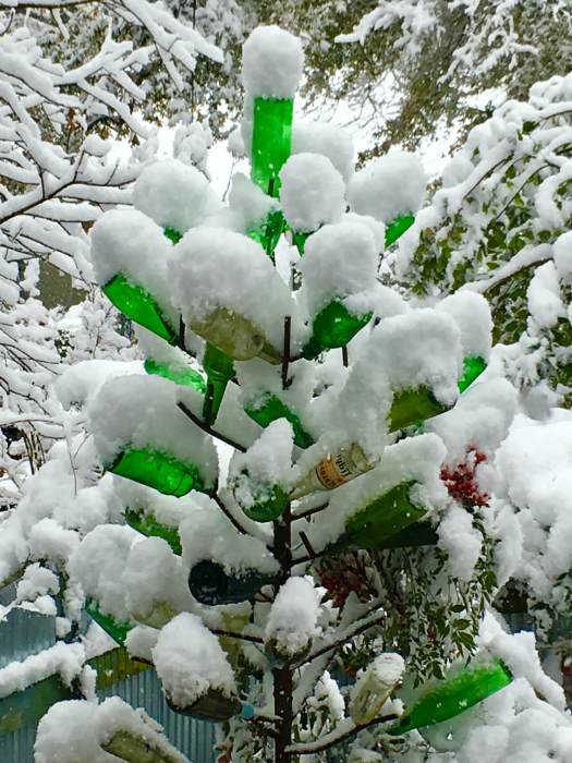 Bottle Trees and Glass Art in Felder’s Garden – Felder Rushing's Blog