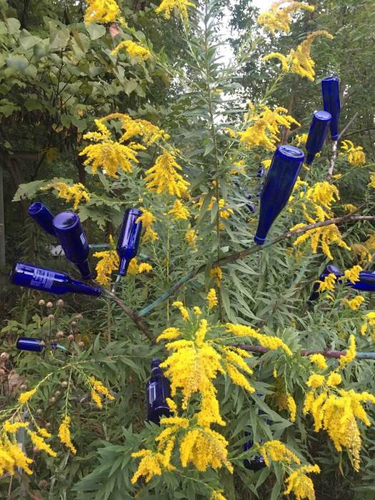 Bottle Trees of Fondren – Felder Rushing's Blog