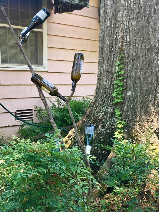 Bottle Trees of Fondren – Felder Rushing's Blog