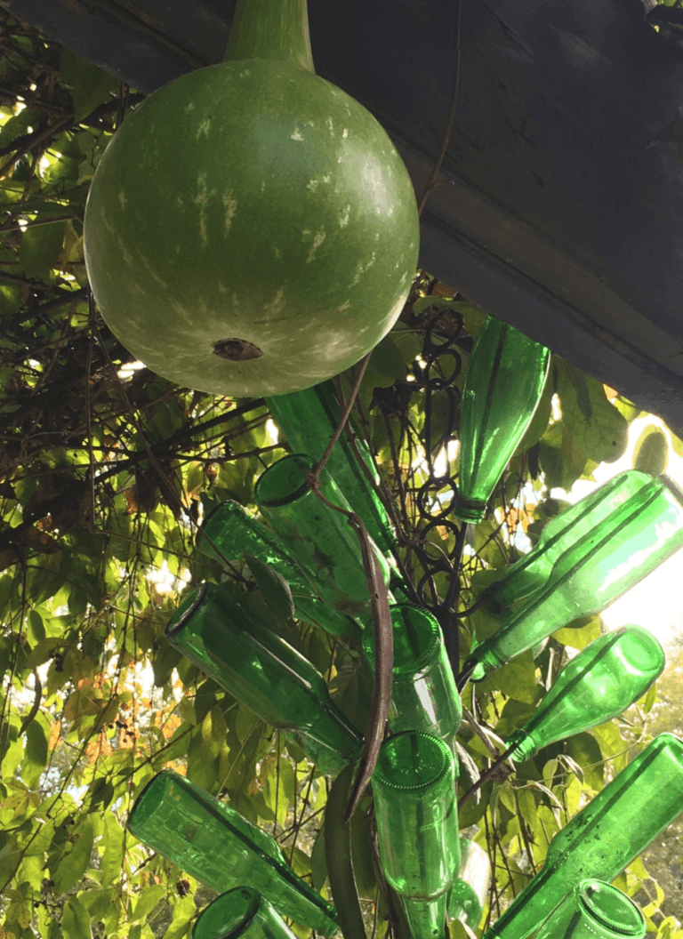 Bottle Trees and Glass Art in Felder’s Garden – Felder Rushing's Blog