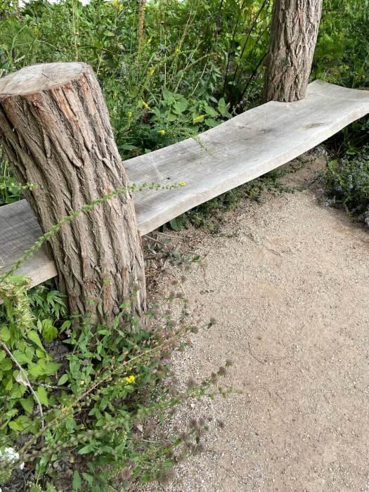 The Dead Hedge is ALIVE – Felder Rushing's Blog