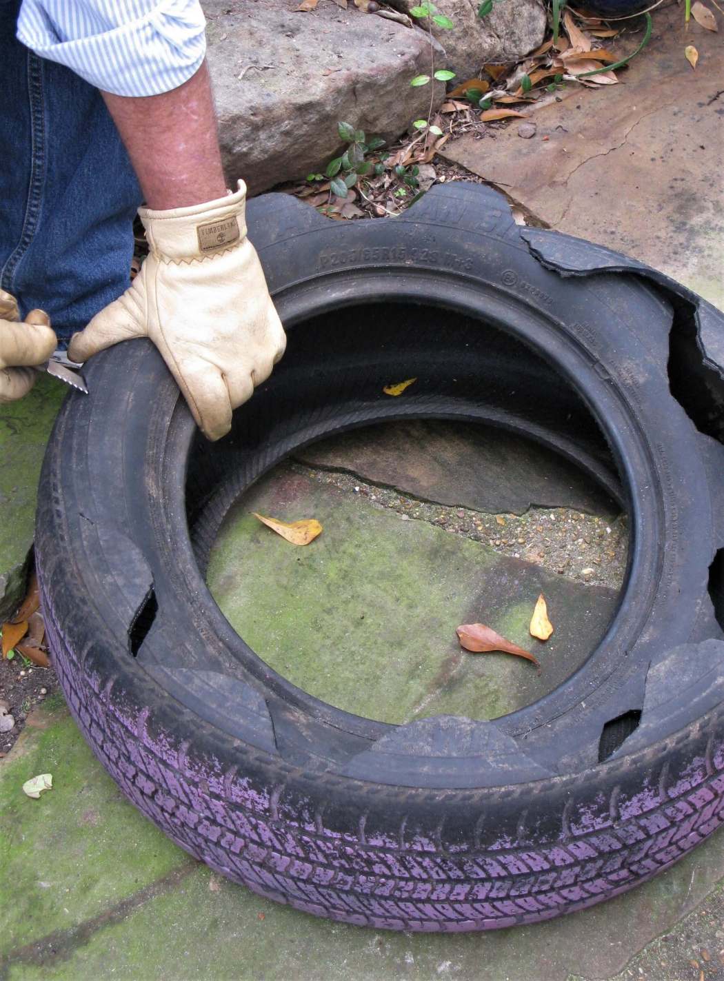 TIRE PLANTER – Rolling with Recycling – Felder Rushing's Blog