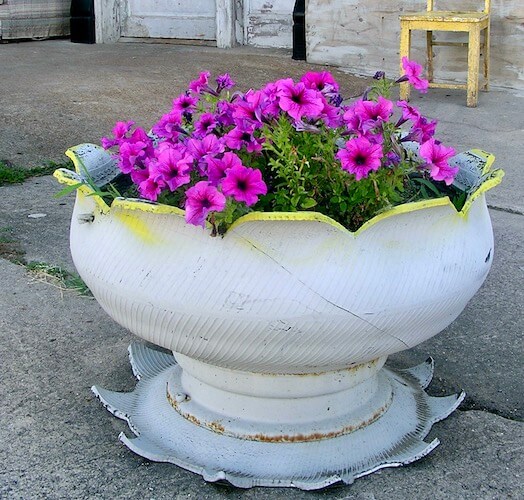 Felder Rushing's Blog – Gardening wisdom and whimsy