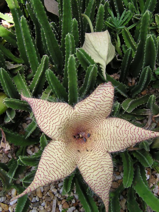 Blog – Felder Rushing's Blog